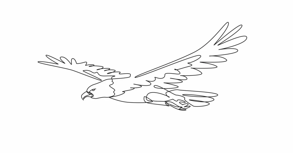 Bald Eagle in Flight One Line Drawing: Practice Dynamic Bird Shapes ...