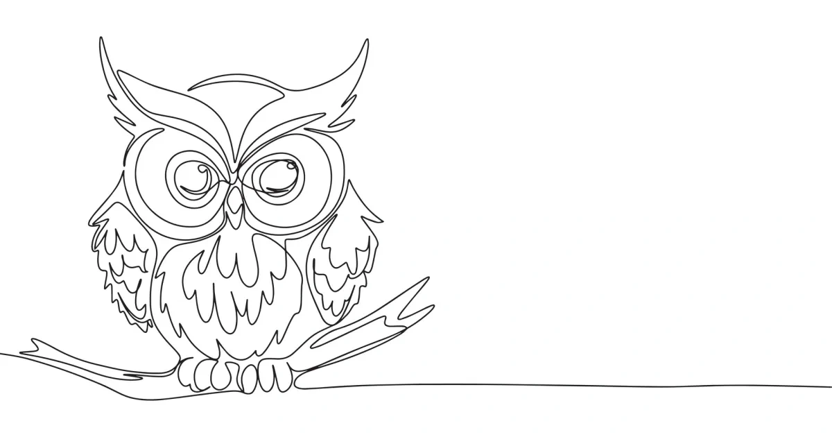 "One-Line Owl Drawing: A Minimalist Approach to Capturing Nocturnal ...