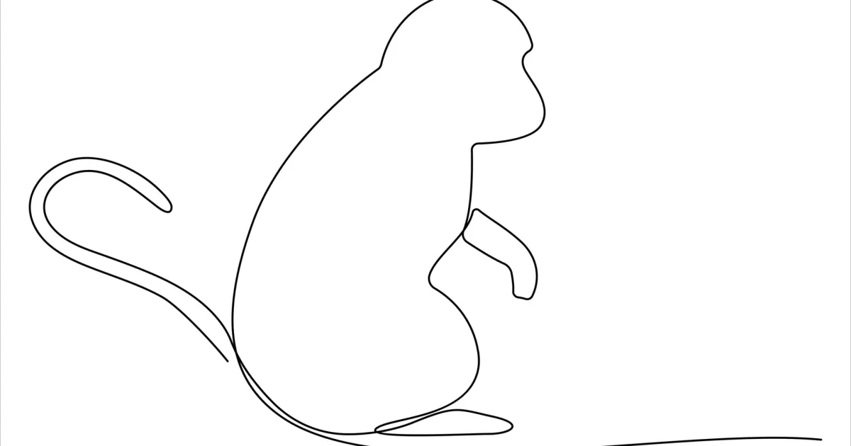 "One Line Monkey Art: A Simplified Approach to Capturing Expressive ...